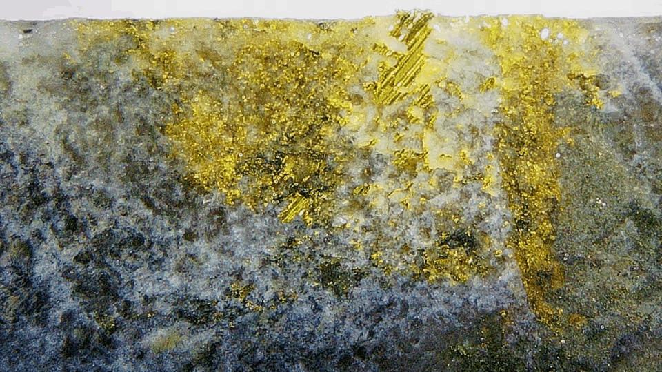 Volltreffer mit System: Emperor Metals liefert mächtige Goldabschnitte ...
